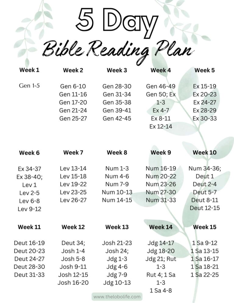 5 Day Bible Reading Plan- Chronological or Traditional