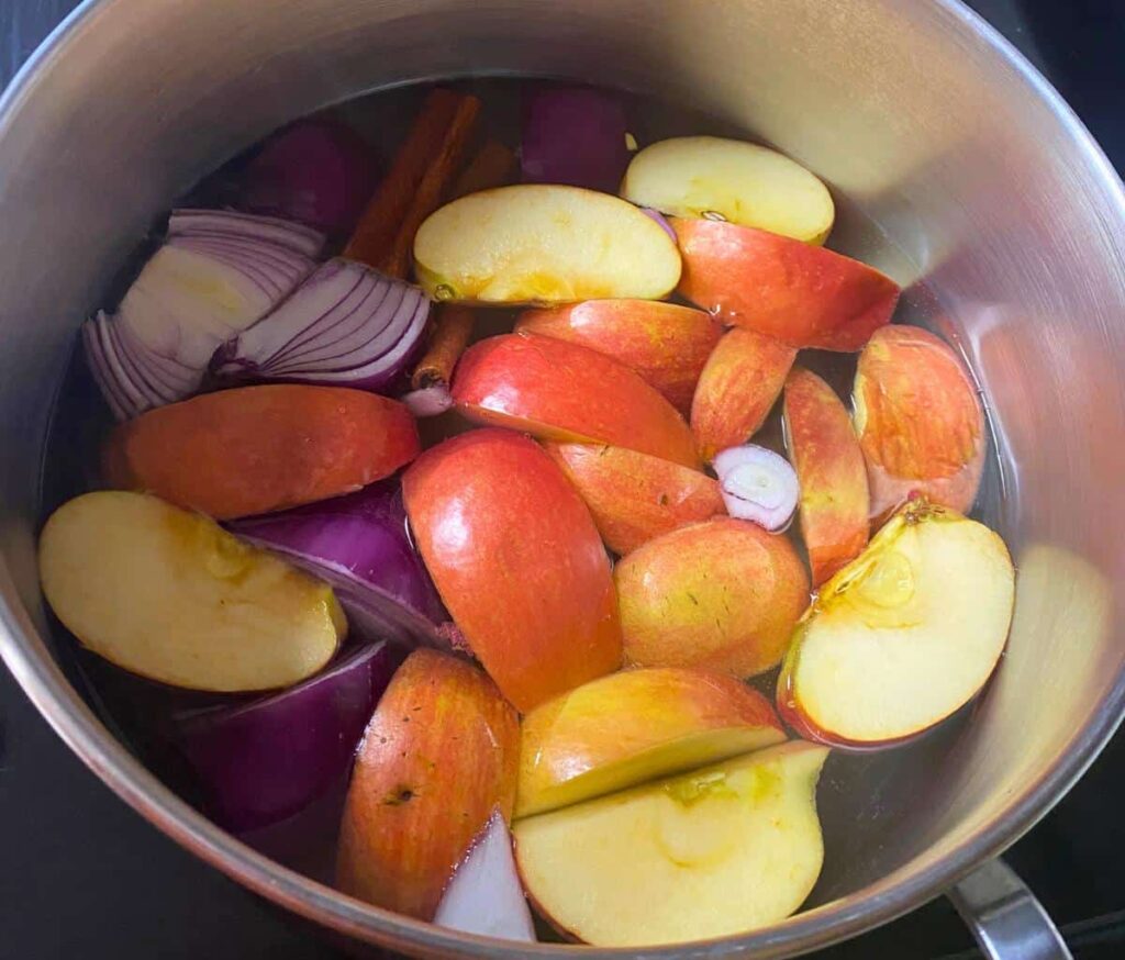 Red Onion Tea: Immune Boosting Tea for Congestion and Cough